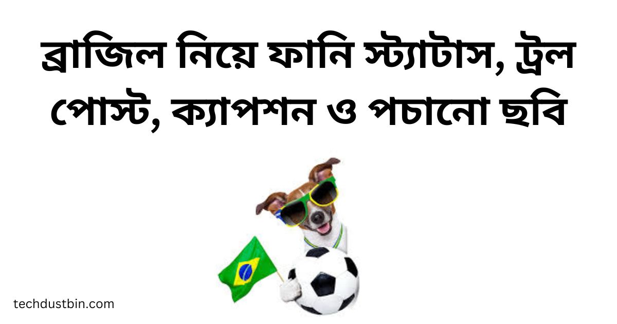 ব্রাজিল নিয়ে ফানি স্ট্যাটাস, ট্রল পোস্ট, ক্যাপশন ও পচানো ছবি - Tech ...